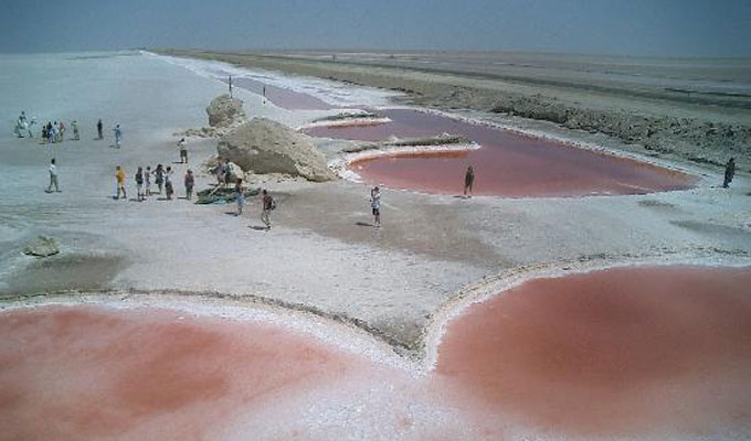 Chott El Jerid aura son circuit écotouristique en 2019 | Webmanagercenter